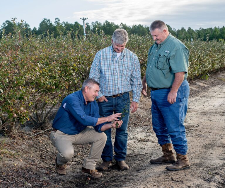 Berry Brothers Home – Generations of Family Farming